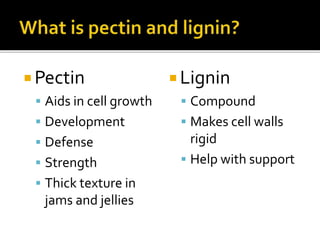 Cell structure 7th grade chapter 8 | PPTX