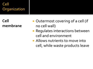 Cell structure 7th grade chapter 8 | PPT