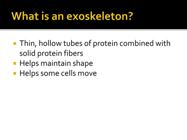 Cell structure 7th grade chapter 8 | PPT