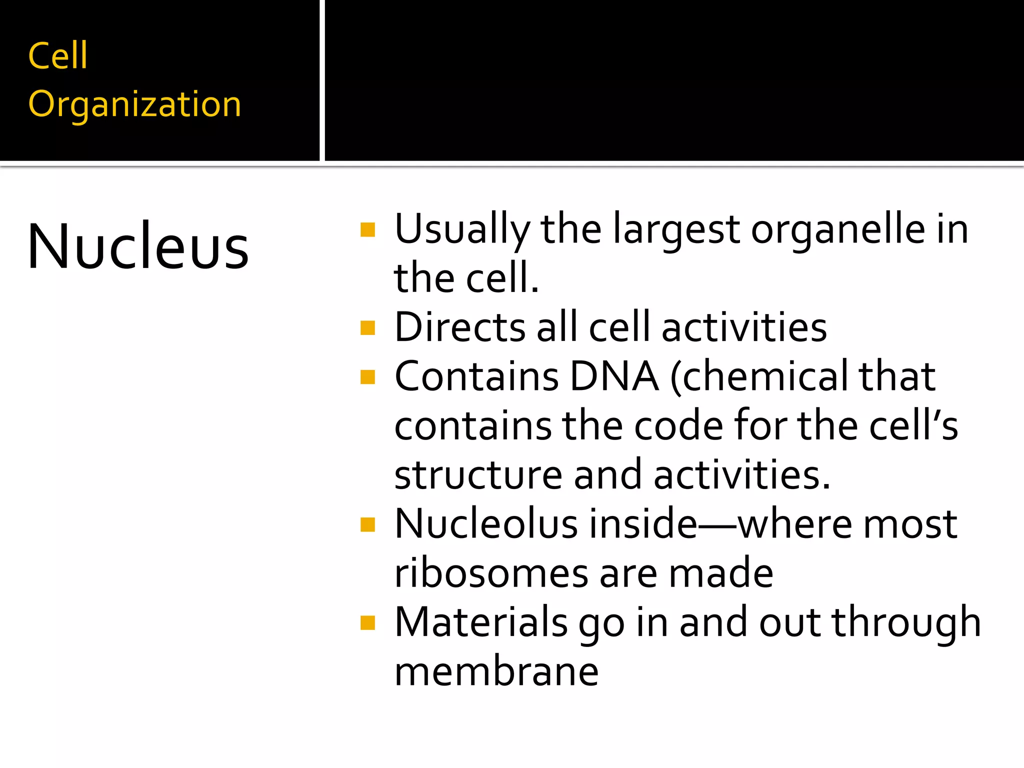 Cell structure 7th grade chapter 8 | PPTX