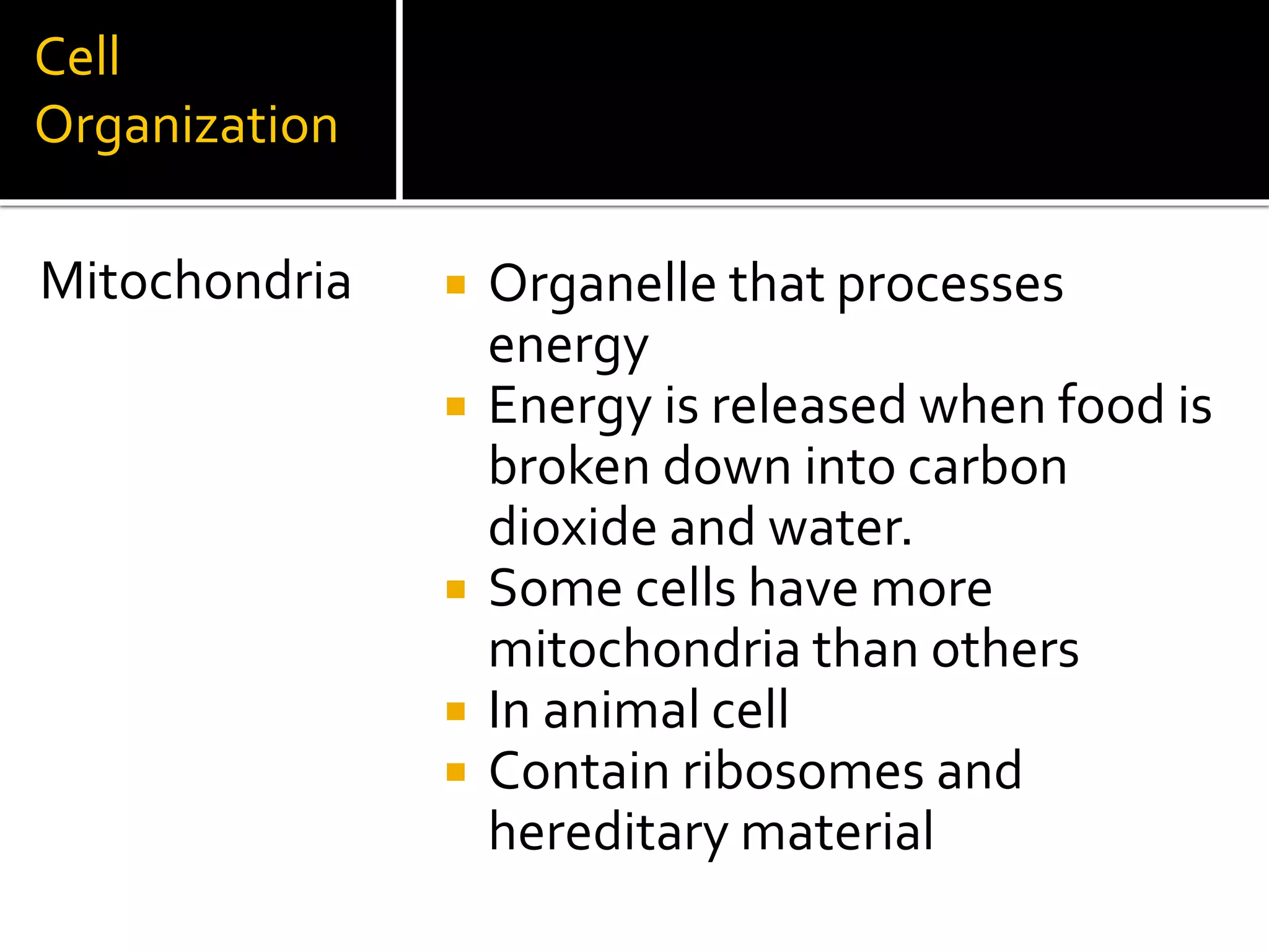 Cell structure 7th grade chapter 8 | PPTX