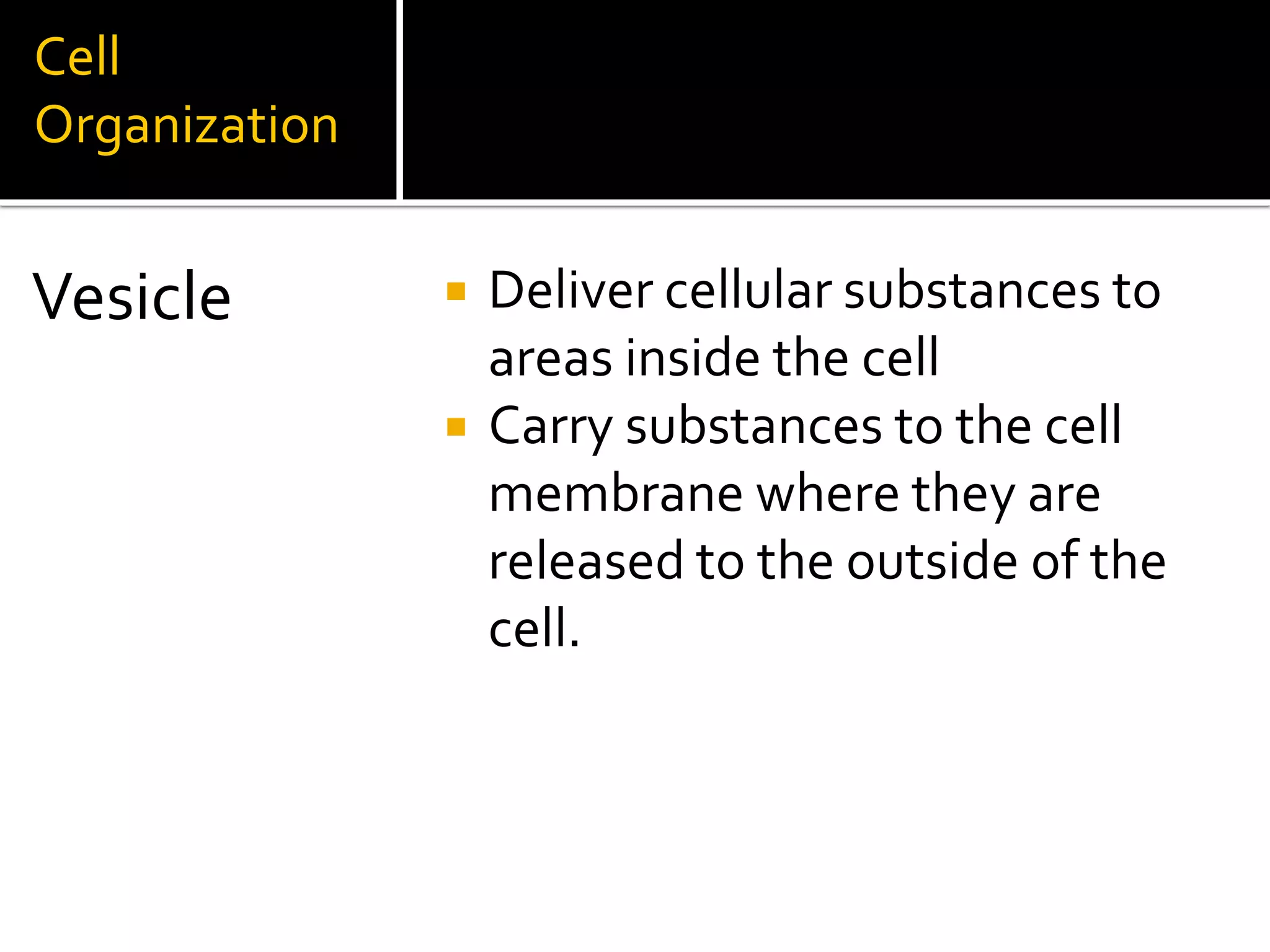 Cell structure 7th grade chapter 8 | PPTX