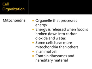 Cell structure 7th grade chapter 8 | PPTX