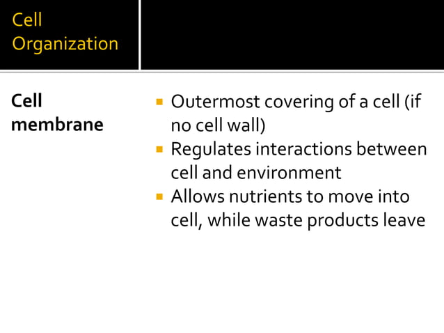 Cell structure 7th grade chapter 8 | PPTX