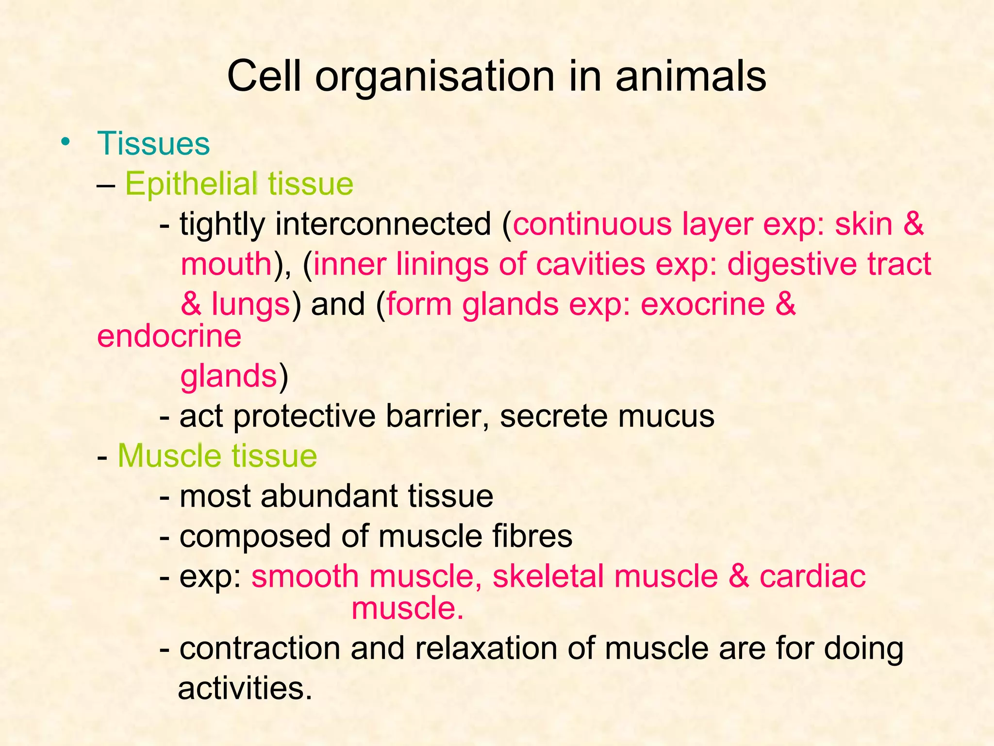Cell structure and cell organisation | PPT