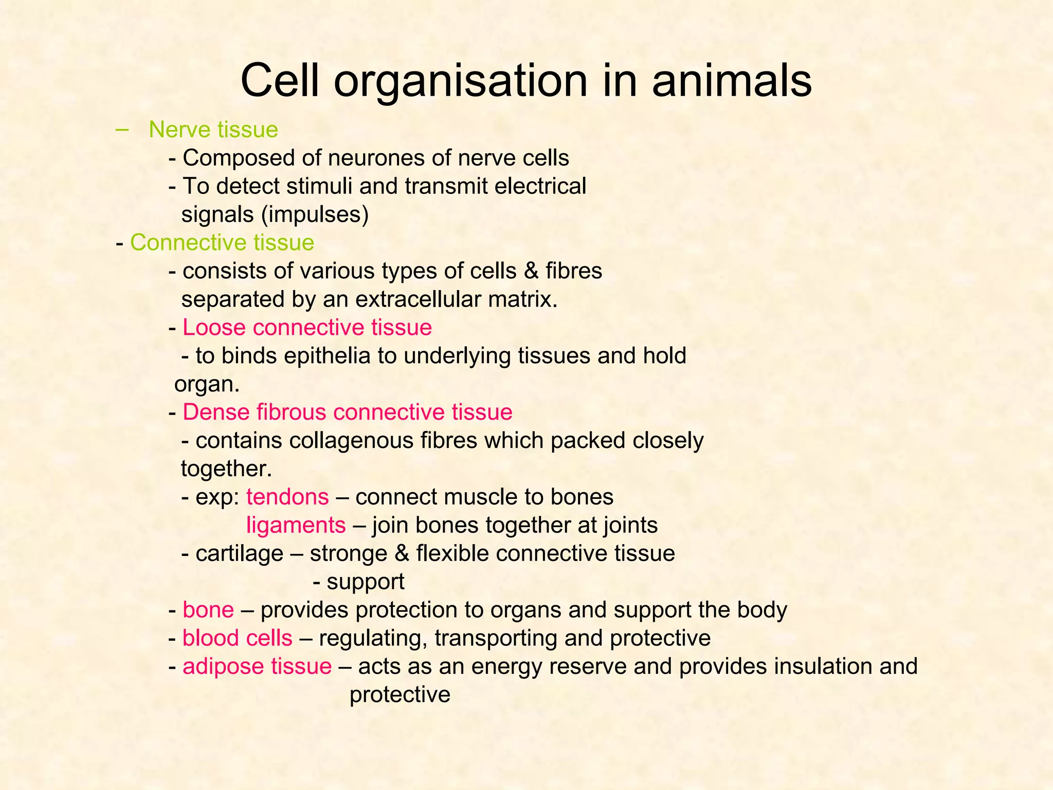 Cell structure and cell organisation | PPT