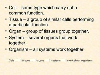 Cell structure and cell organisation | PPT