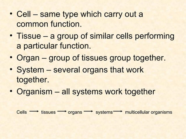 Cell structure and cell organisation | PPT