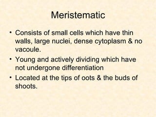 Cell structure and cell organisation | PPT