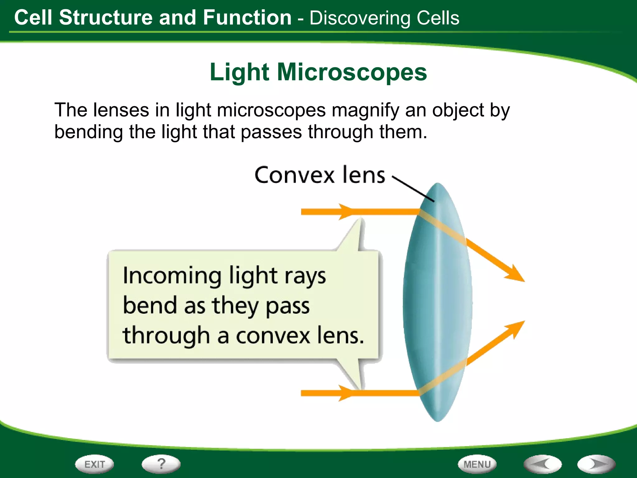 Cell Structure And Function | PPT