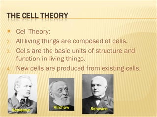 cell the unit of life | PPT