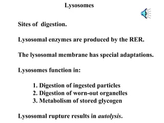 Cell structure and function | PPT