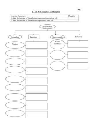 Cell structure and function | DOC | Biological Sciences | Science
