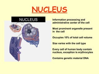 Cell structure and function | PPT