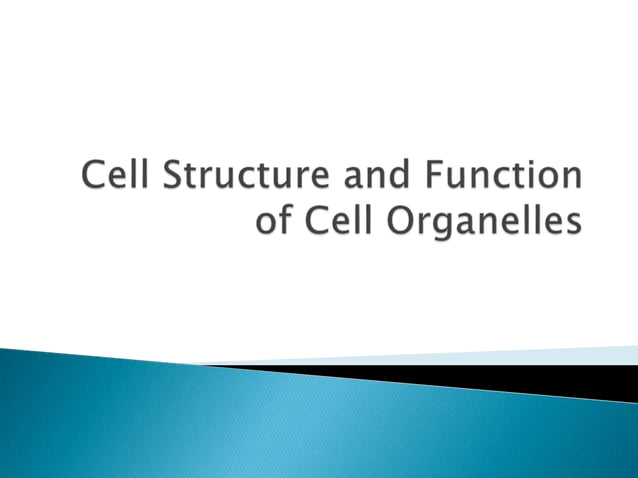 Cell structure and function | PPT
