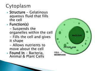 Cell structure and function | PPTX