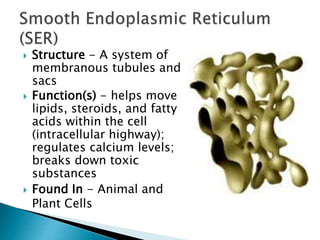 Cell structure and function | PPTX