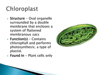 Cell structure and function | PPTX