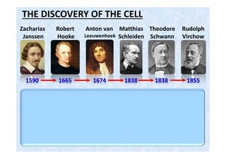Cell History Timeline