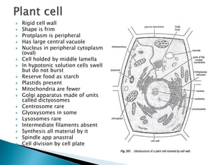 Cell structure and function | PPTX
