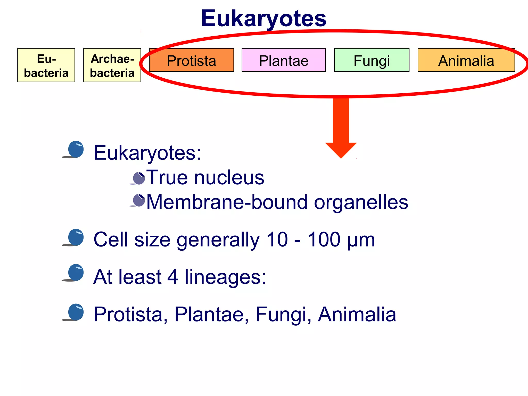 Cell structure and function | PPT