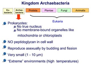 Cell structure and function | PPT