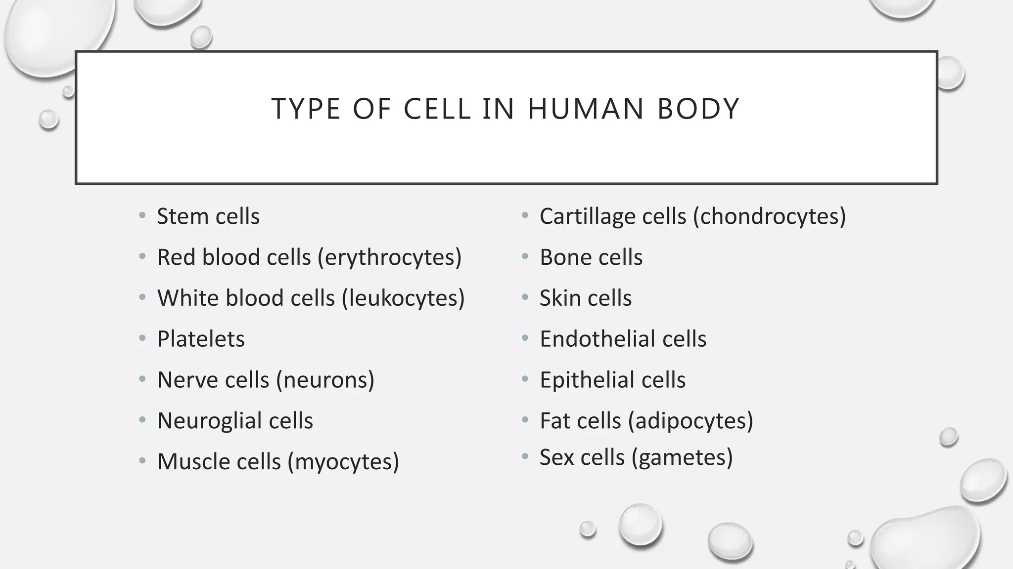 Cell structure and function | PPTX
