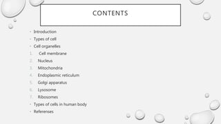 Cell structure and function | PPTX