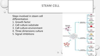 Cell structure and function | PPTX