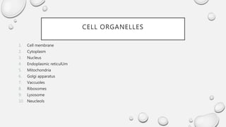 Cell structure and function | PPTX