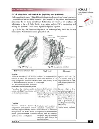 Cell structure and function | PDF