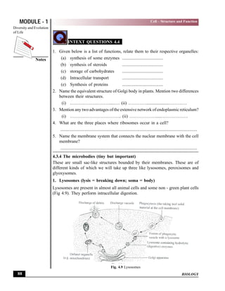 Cell structure and function | PDF