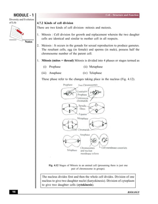 Cell structure and function | PDF