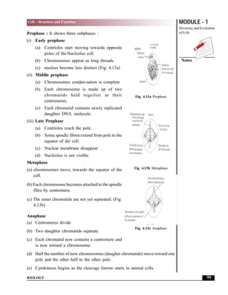 Cell structure and function | PDF