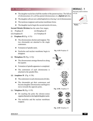 Cell structure and function | PDF