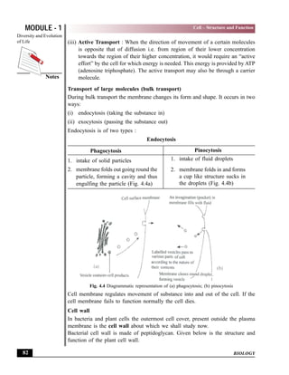 Cell structure and function | PDF