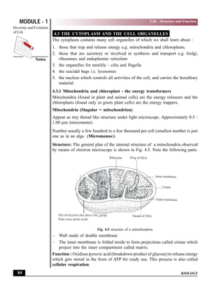Cell structure and function | PDF