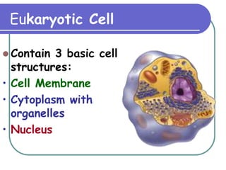 Cell Structure and Function.pptx