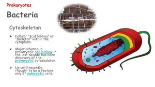 Cell Structure and function.pptx