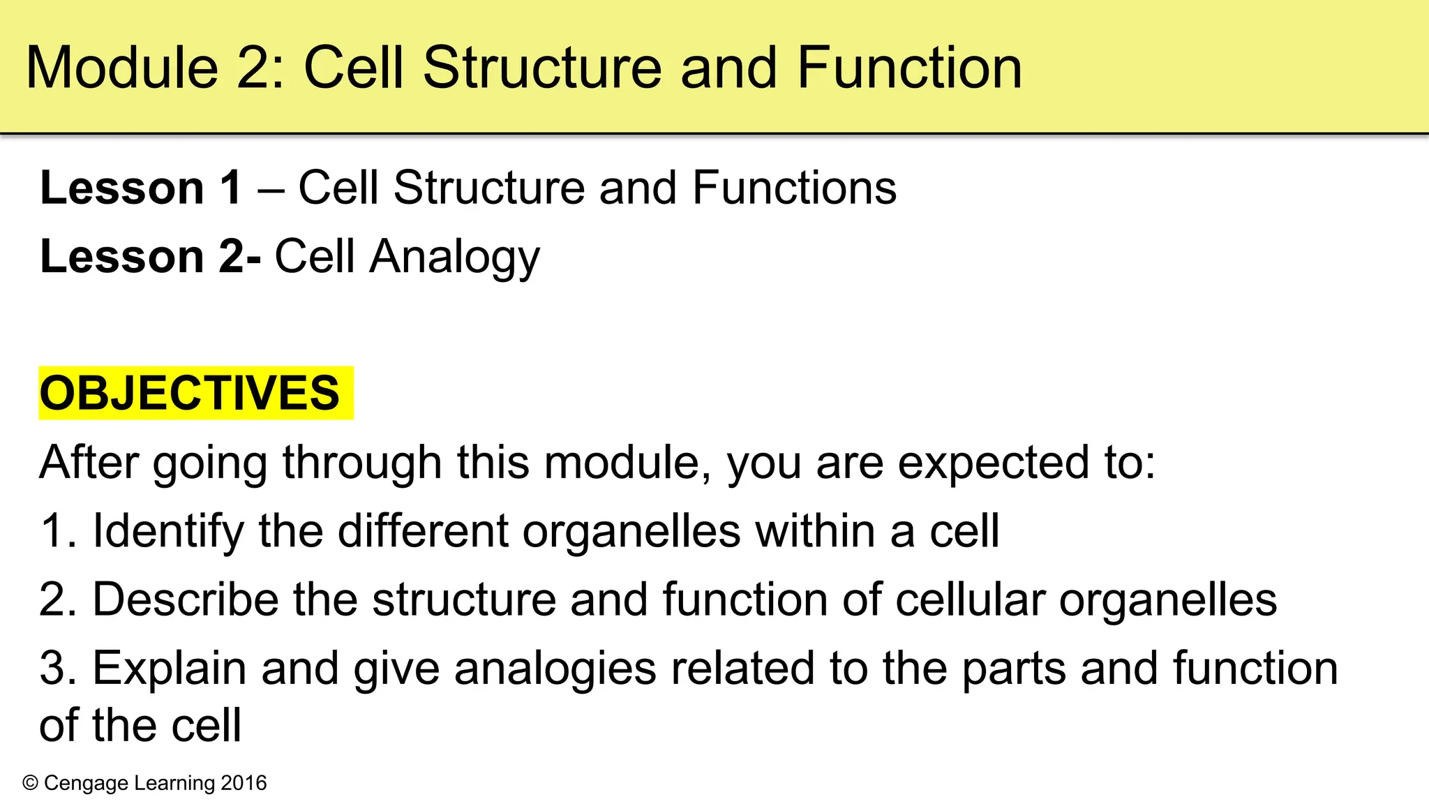 Cell Structure and Function.pptx