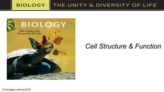 Cell Structure and Function.pptx