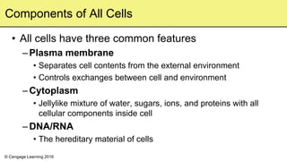 Cell Structure and Function.pptx