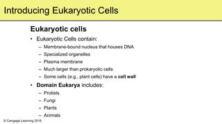 Cell Structure and Function.pptx