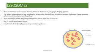 The Building Blocks of Life: Exploring Cell Structure and Function ...