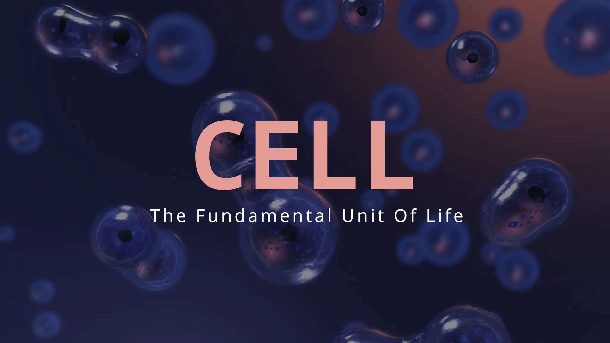 Cell Structure and Function-GRADE 7 Biology.pptx