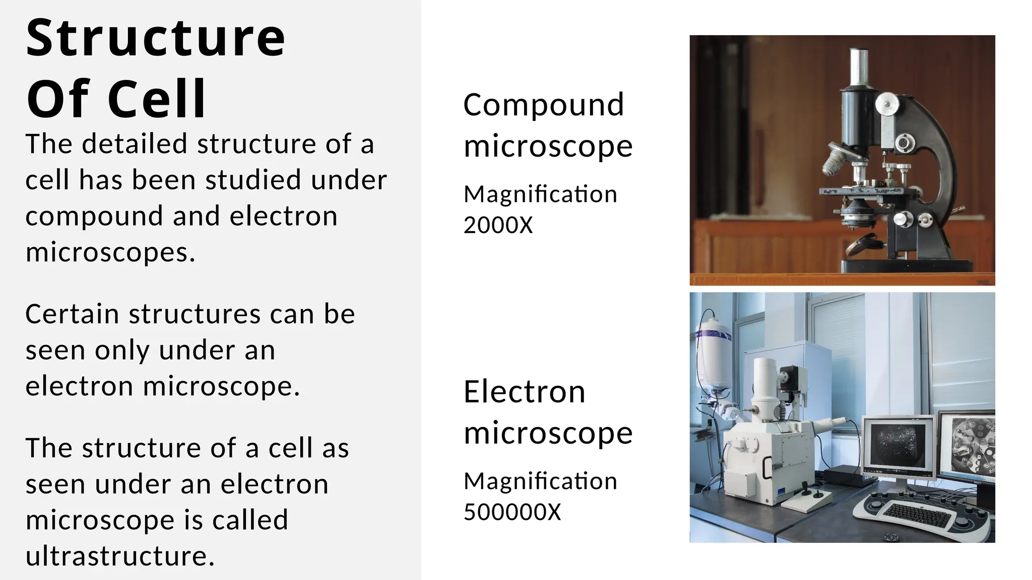 Cell Structure and Function-GRADE 7 Biology.pptx