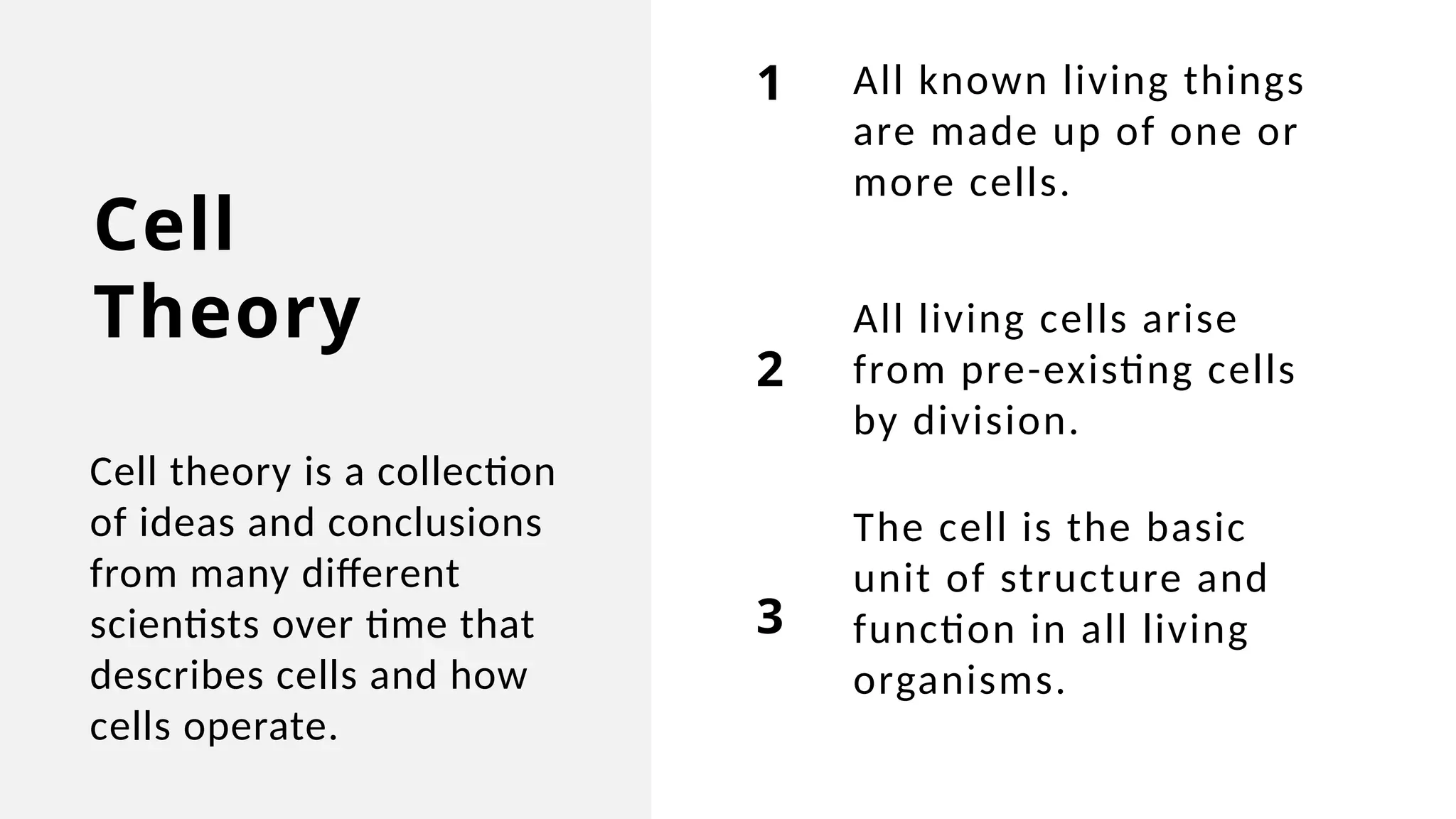 Cell Structure and Function-GRADE 7 Biology.pptx