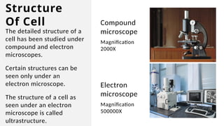 Cell Structure and Function-GRADE 7 Biology.pptx