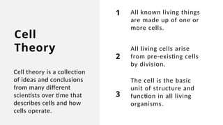 Cell Structure and Function-GRADE 7 Biology.pptx