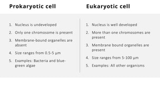 Cell Structure and Function-GRADE 7 Biology.pptx